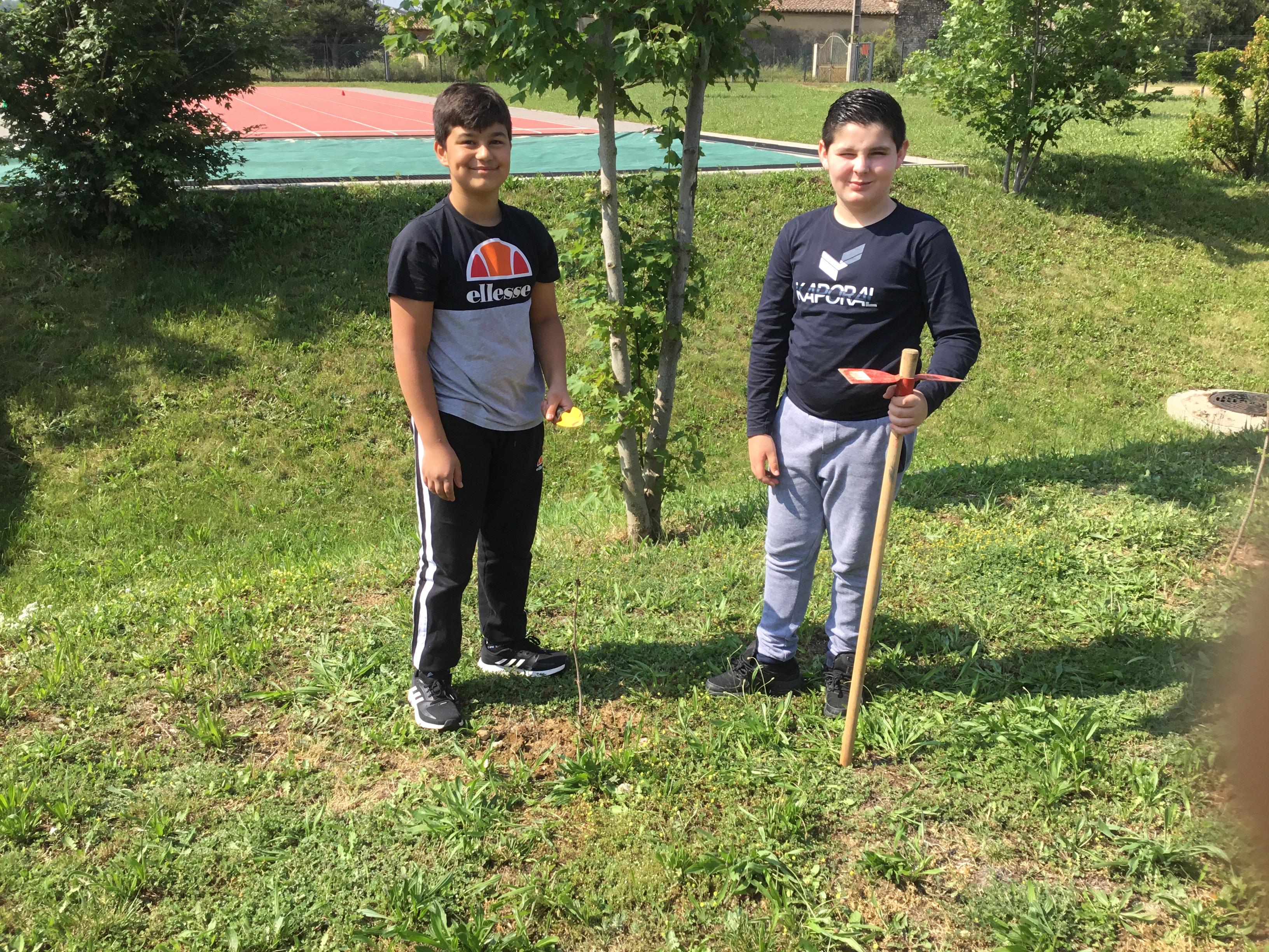 Entretien des plantations | Collège Marcelle Rivier